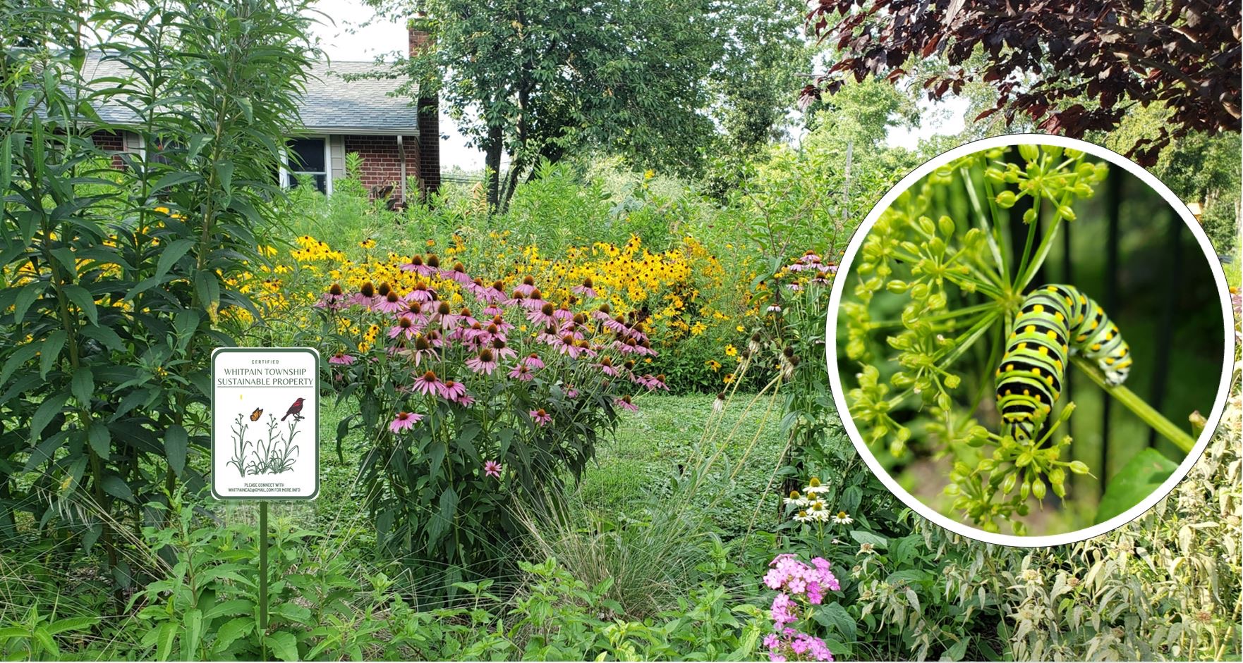 Whitpain Sustainable Property Program - Around Ambler