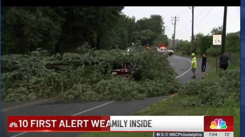 NBC10 reported on a tree that fell onto a car in Blue Bell during storm ...